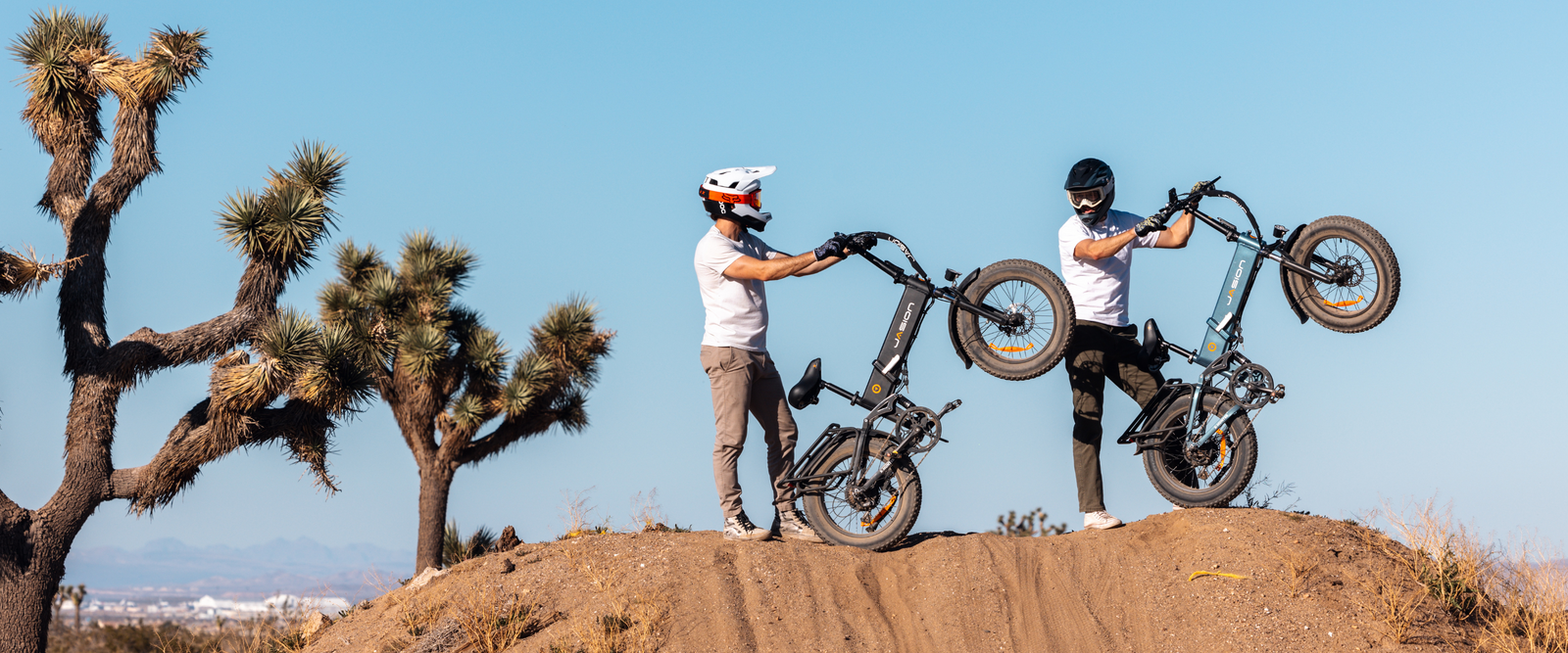 Jasion Electric Bike | Premier for Commute & Off-Road Adventures ...